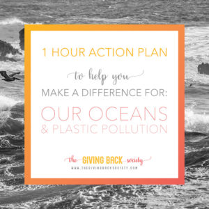 YOUR 1 HOUR ACTION PLAN TO HELP OUR OCEANS & PLASTIC POLLUTION | The ...
